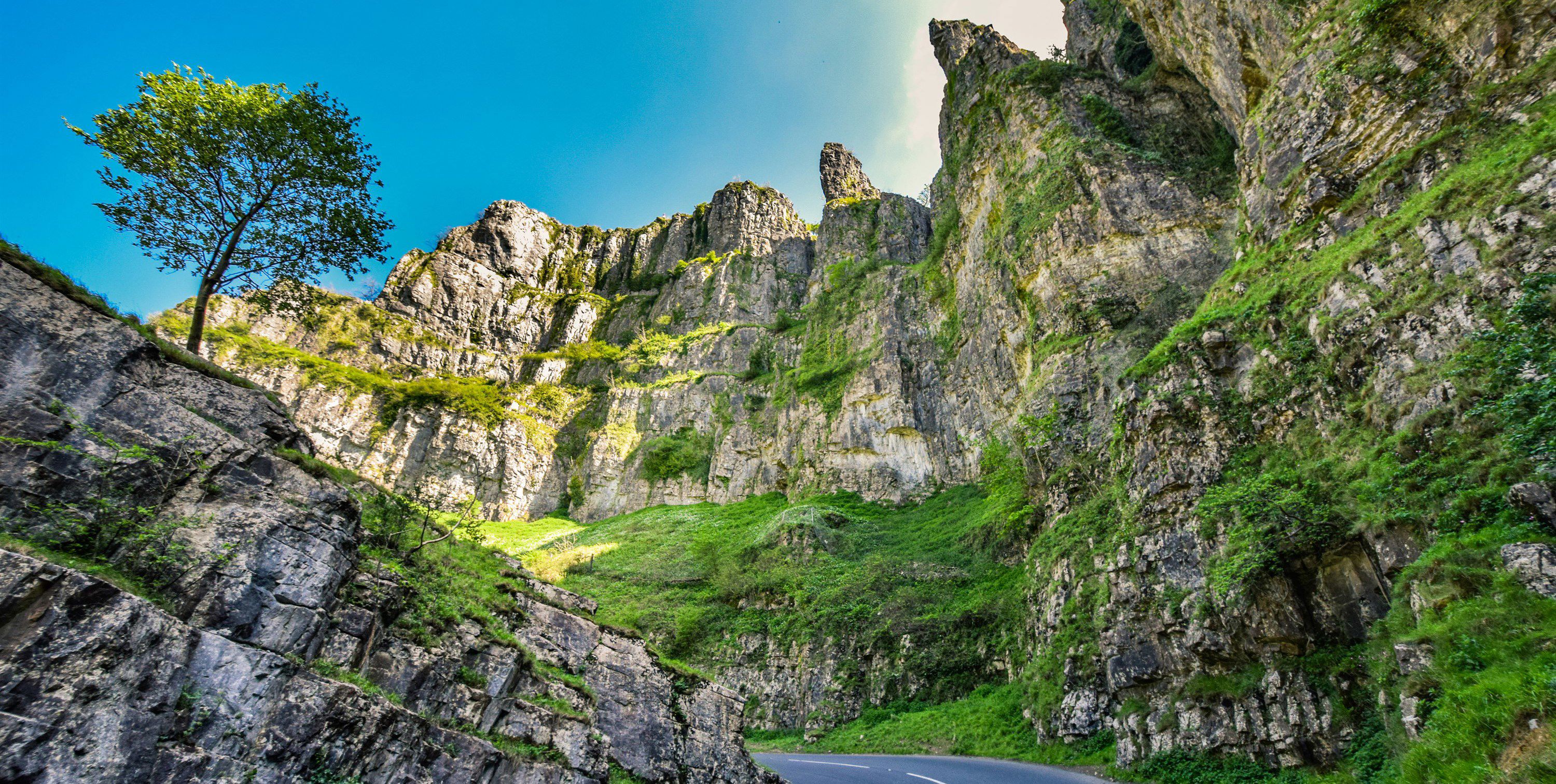 80+ campsites near Cheddar Gorge in Somerset