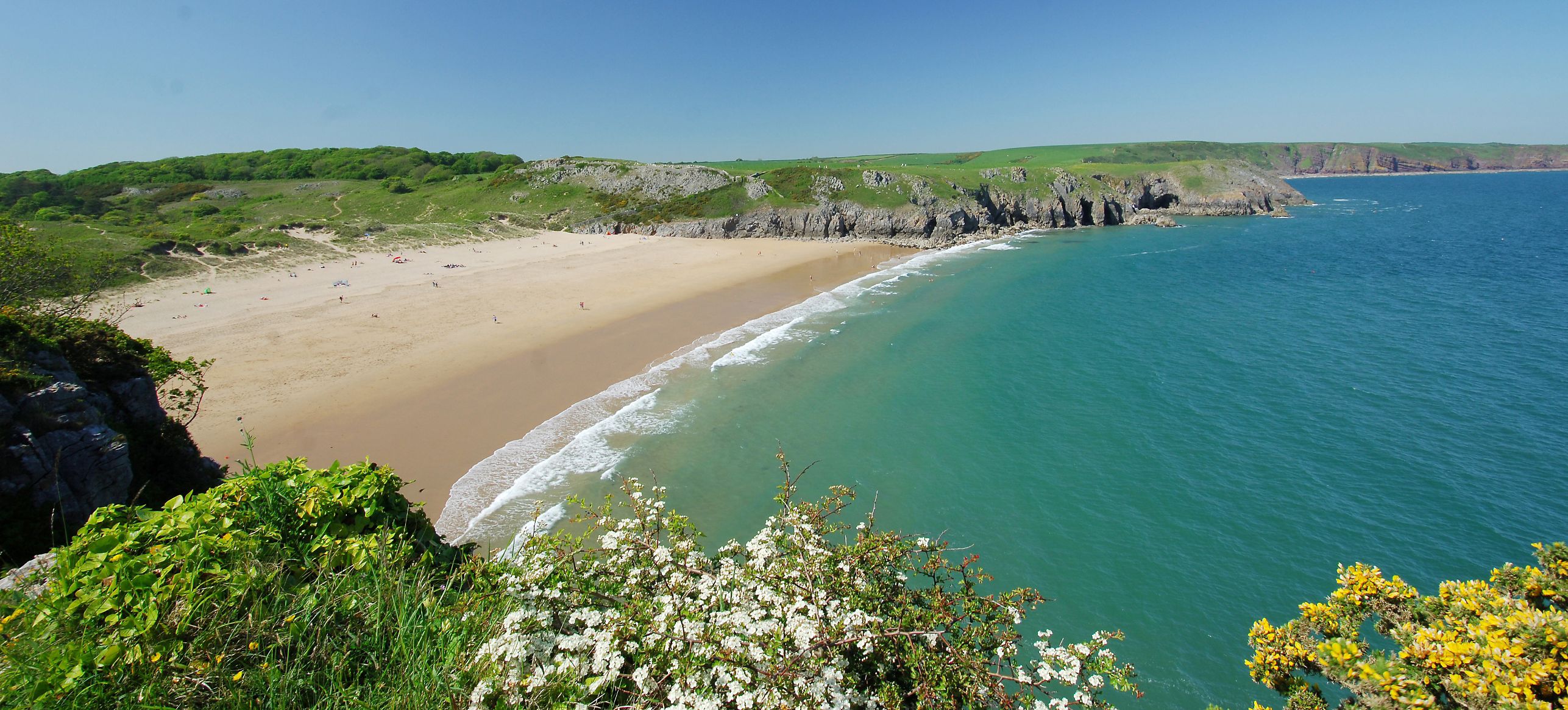 25+ campsites near Barafundle Bay, Pembrokeshire