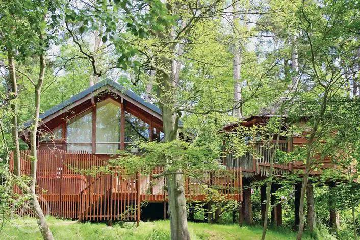 35+ quirky and unique treehouse holidays in the UK