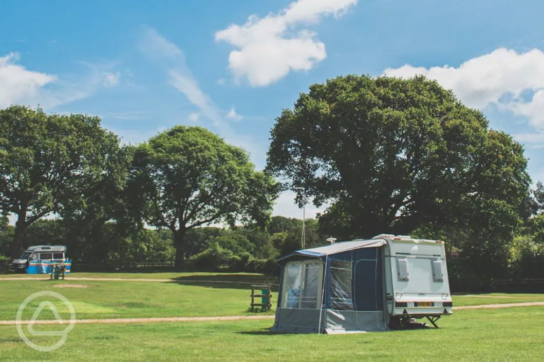 40+ campsites in the New Forest - the park's best camping sites