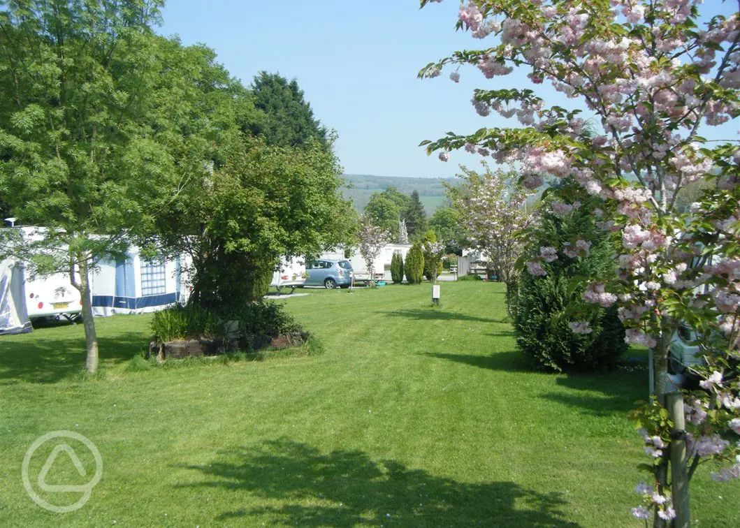 Campsites near Cheddar Gorge in Somerset