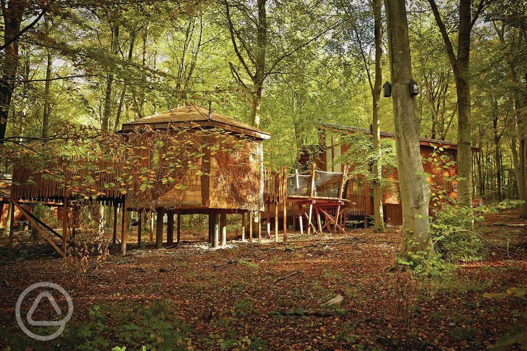 40+ quirky and unique treehouse holidays in the UK