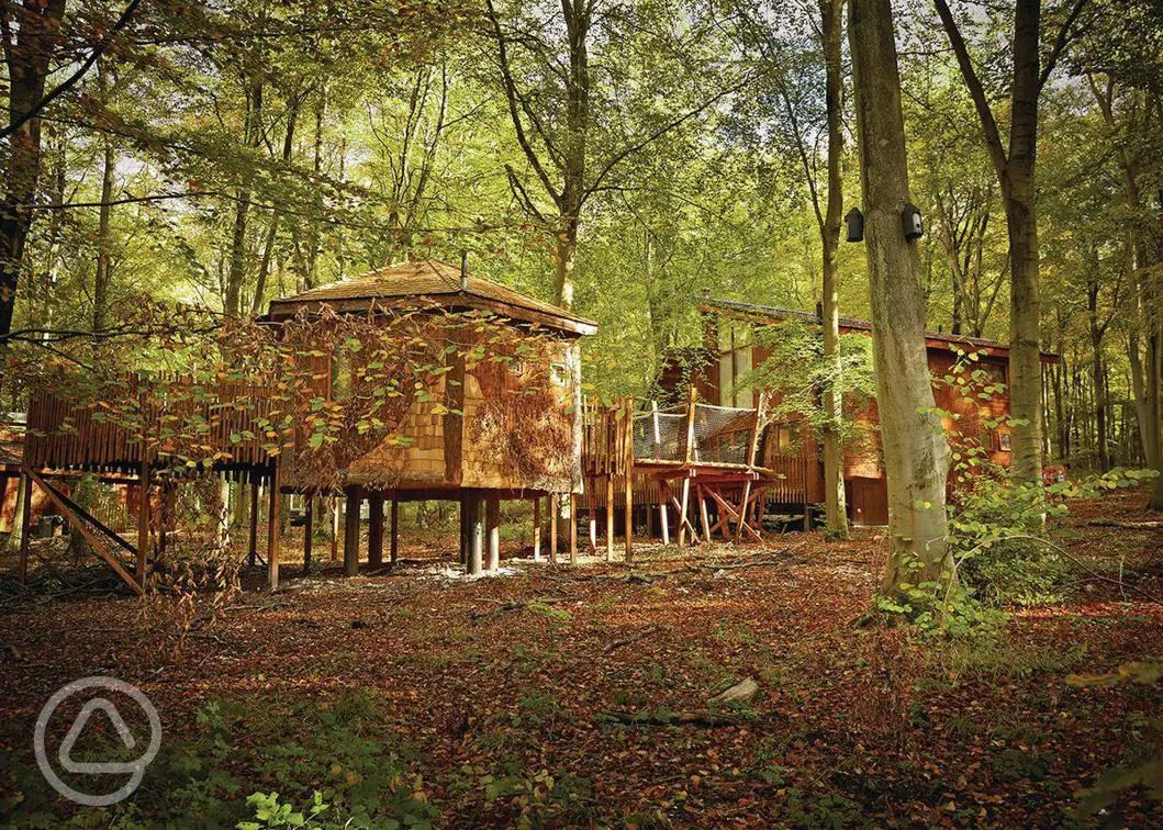Quirky and unique treehouse holidays in the UK