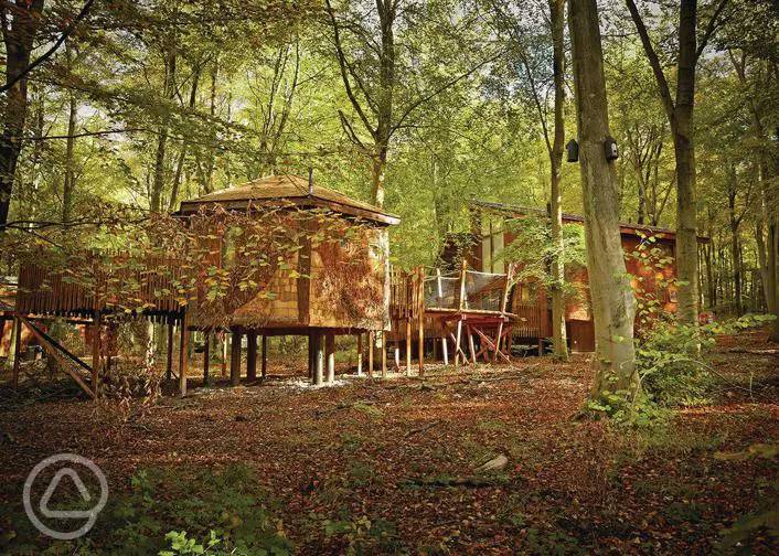 Quirky and unique treehouse holidays in the UK