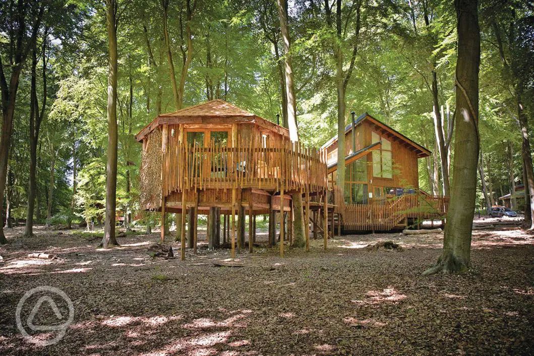 40+ treehouse holidays in the UK