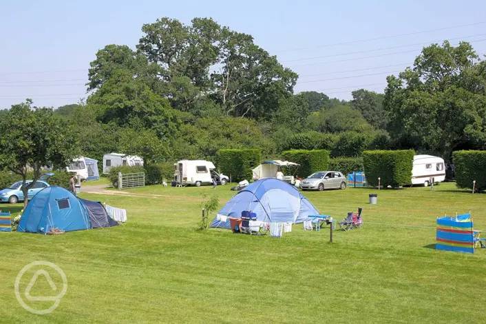 35+ campsites in the New Forest - the park's best camping sites