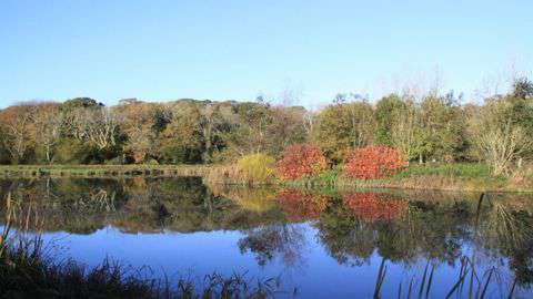 Rosewall Camping in Weymouth, Dorset