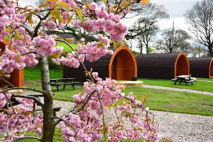 50+ camping and glamping pods in Cumbria and the Lake District