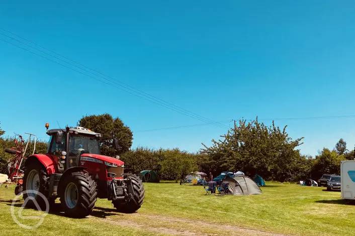 80+ campsites in Kent - the best places to go camping in Kent