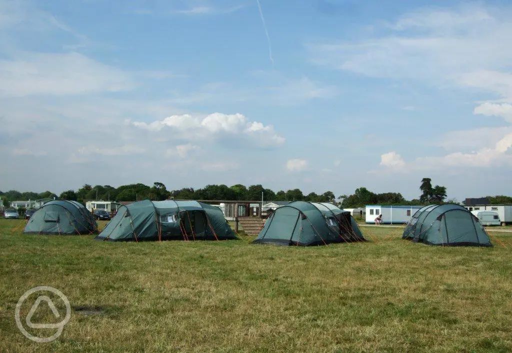 45+ Lyndhurst campsites | Best camping in Lyndhurst, Hampshire