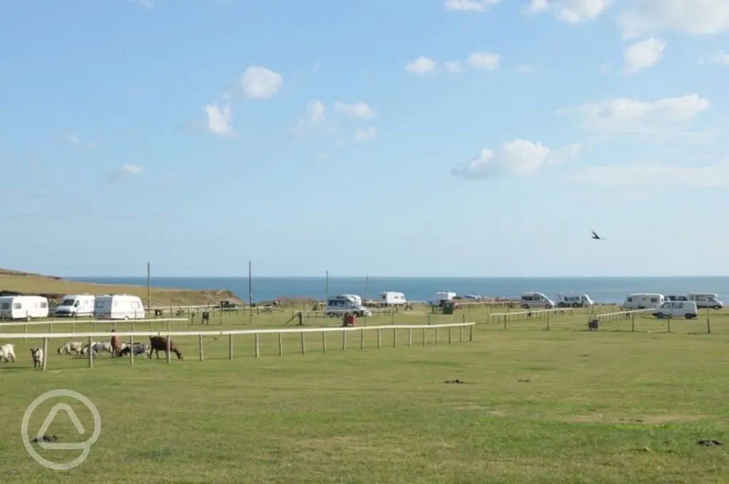 600+ farm campsites in the UK - camping on the farm is great fun