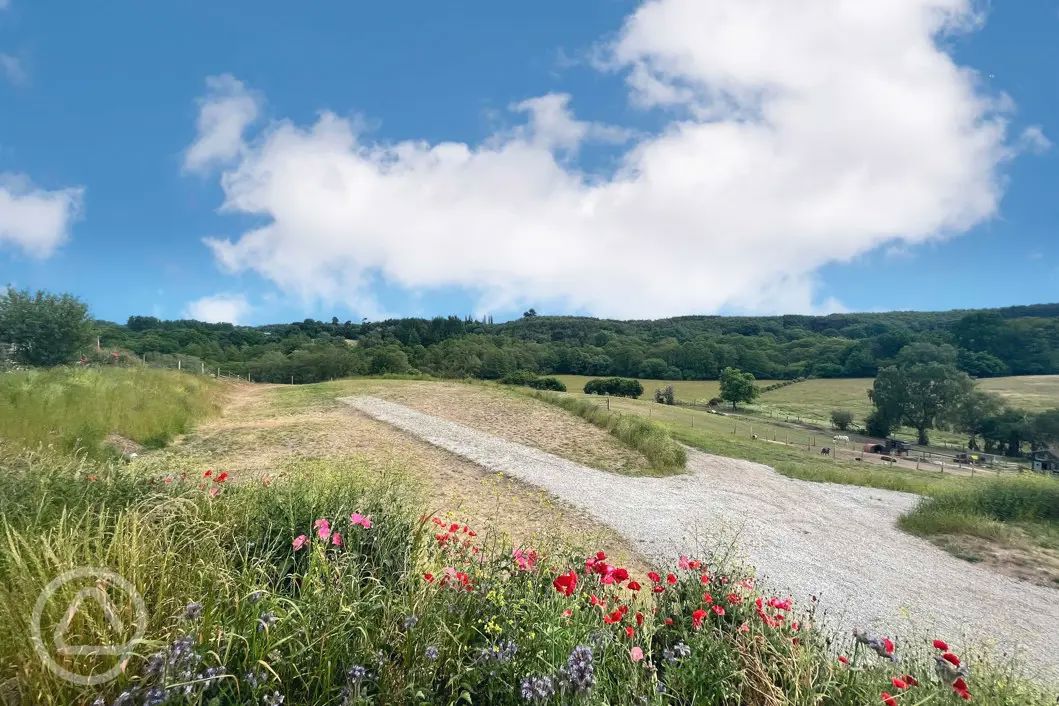 30+ campsites in Cheshire | Best camping in Cheshire