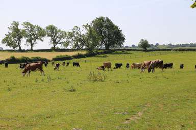 Barn Farm Campsite in Matlock, Derbyshire - book online now