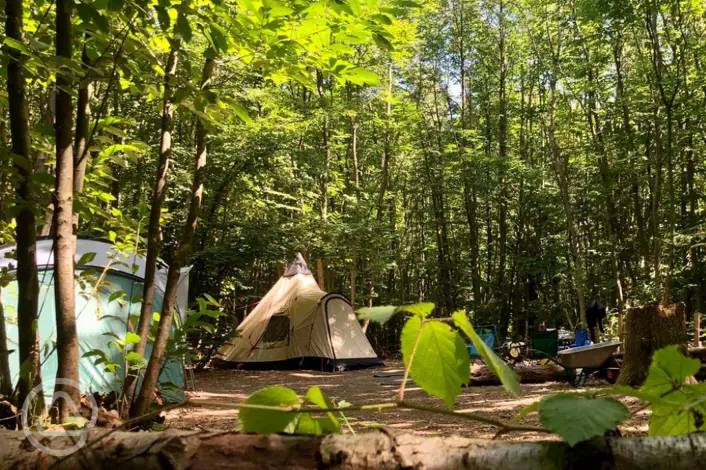 80+ campsites in Kent - the best places to go camping in Kent