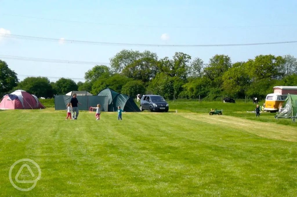 40+ campsites in the New Forest - the park's best camping sites
