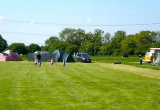 40+ campsites in the New Forest - the park's best camping sites
