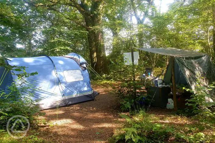 225+ campsites in Devon - the best sites for camping in Devon