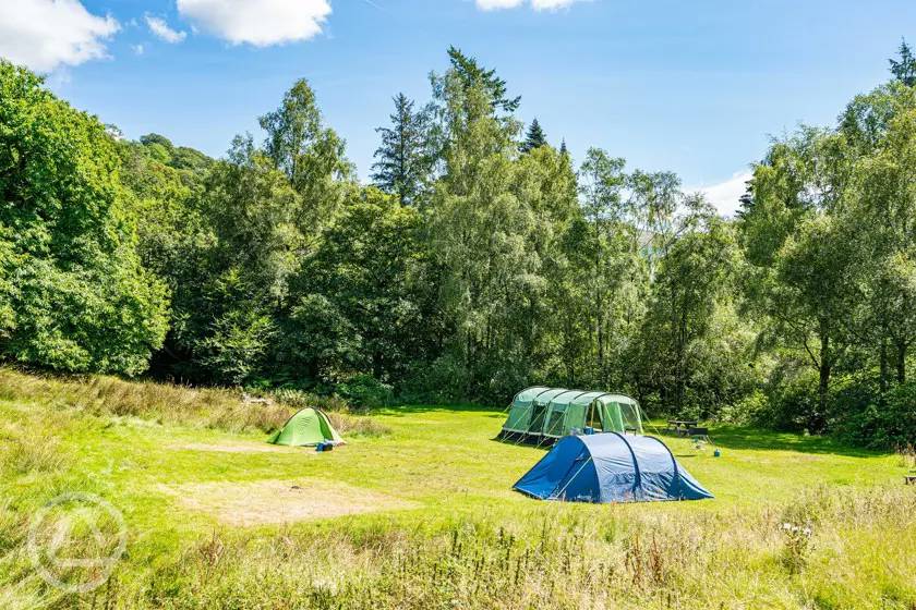 Rydal Hall Campsite in Ambleside, Cumbria - book online now