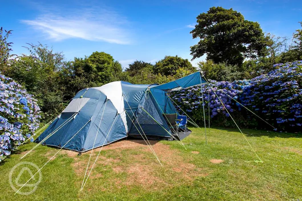 Motorhome parks in Cornwall