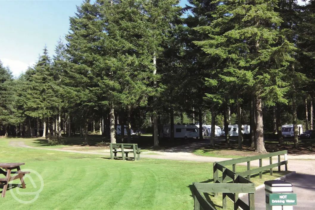 190+ caravan parks in Scotland