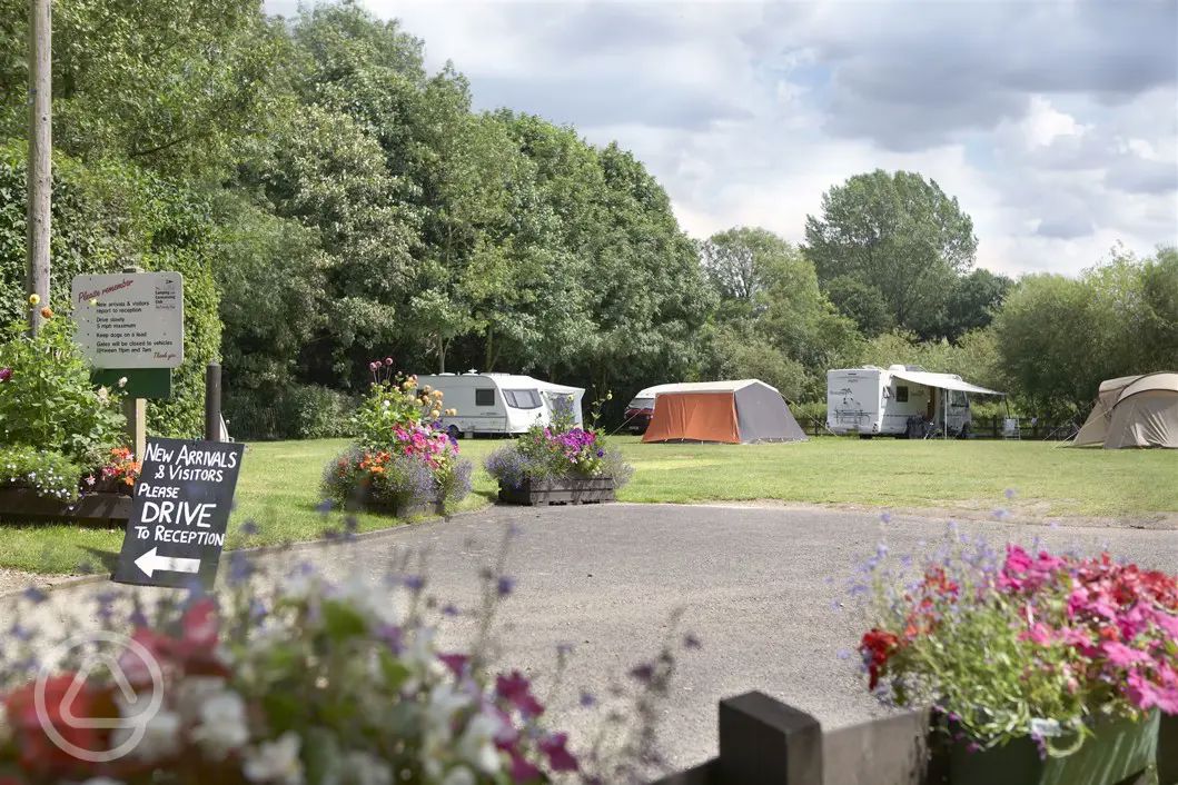 35+ Campsites with fishing in Norfolk