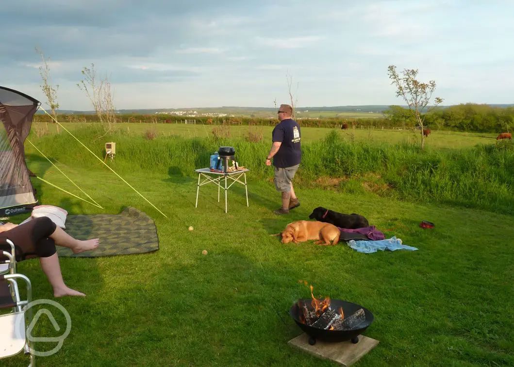 Adult only campsites in Devon