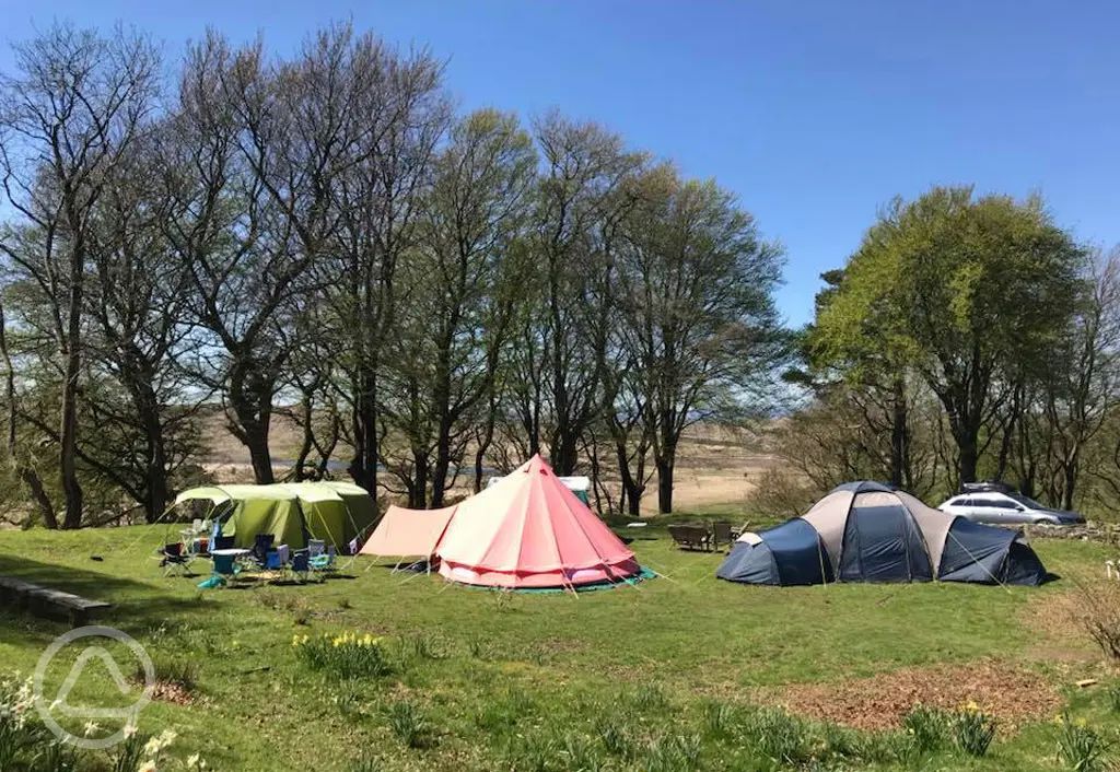 Campsites in Wales - 550+ of the best Welsh camping sites
