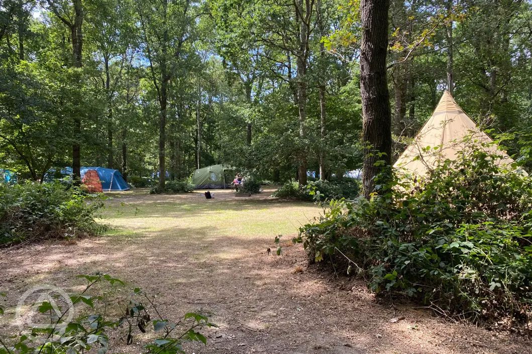40+ almost wild camping sites