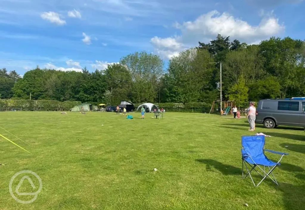 50+ campsites in the New Forest - the park's best camping sites