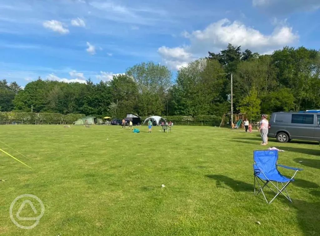 50+ campsites in the New Forest - the park's best camping sites