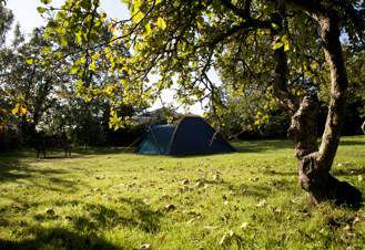 70+ campsites near The Lizard, Cornwall