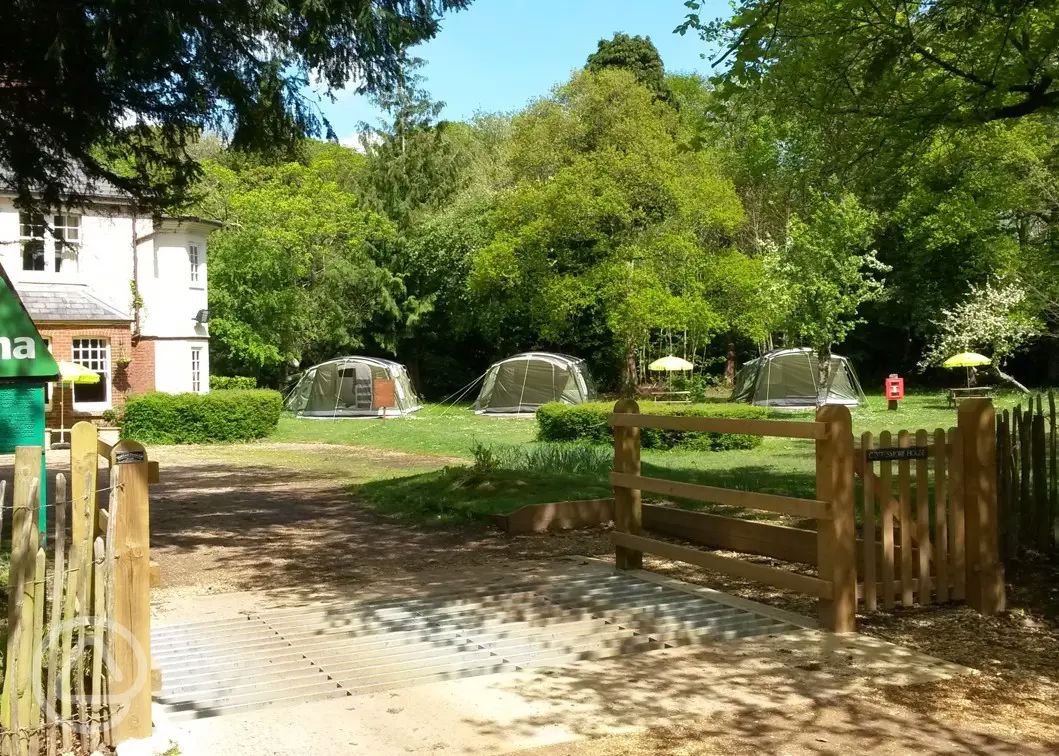 40+ family campsites in the New Forest - child friendly camping