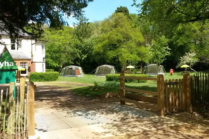 40+ campsites in the New Forest - the park's best camping sites