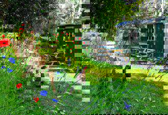 Northumberland glamping - the best glamping in Northumberland