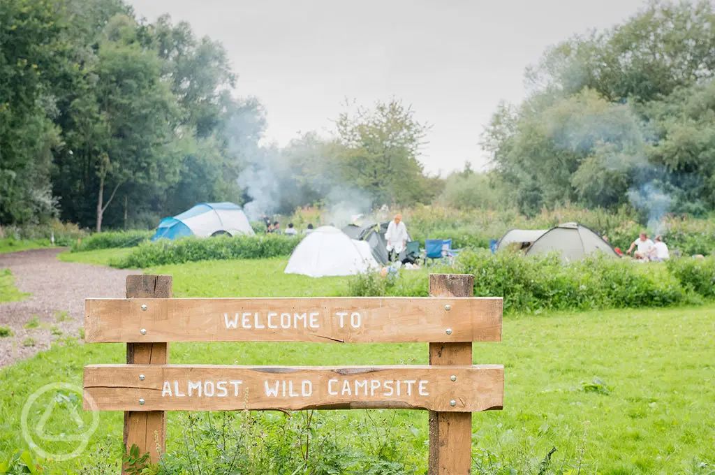 The 20 best woodland campsites - find and book now