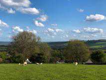 Dale Farm Rural Campsite in Bakewell, Derbyshire
