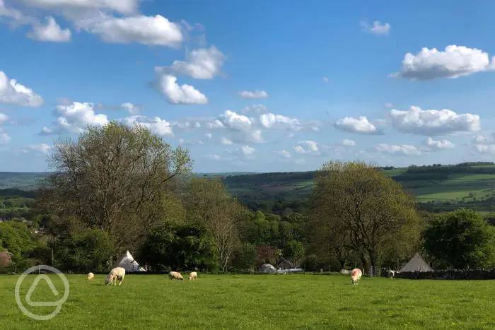 Dale Farm Rural Campsite in Bakewell, Derbyshire