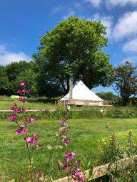 Dale Farm Rural Campsite in Bakewell, Derbyshire