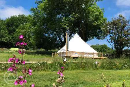 Dale Farm Rural Campsite in Bakewell, Derbyshire