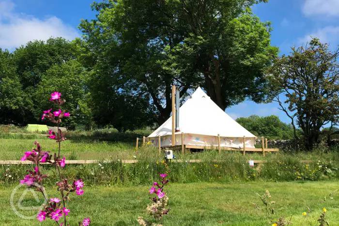 Dale Farm Rural Campsite in Bakewell, Derbyshire