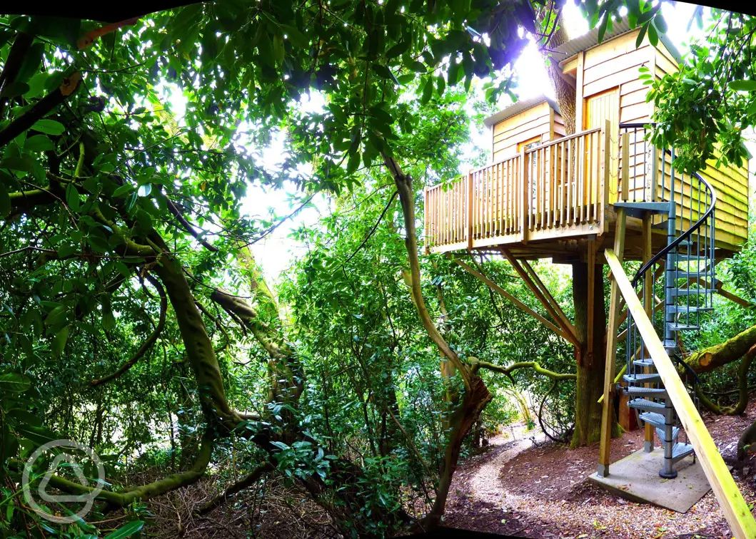 35+ quirky and unique treehouse holidays in the UK