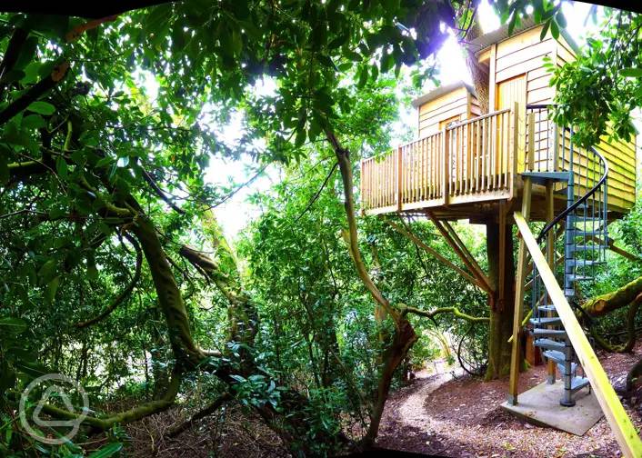35+ quirky and unique treehouse holidays in the UK
