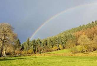 15+ Welshpool campsites | Best camping in Welshpool, Powys