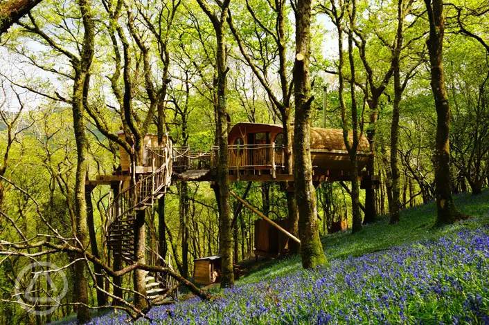 30+ treehouse holidays in the UK