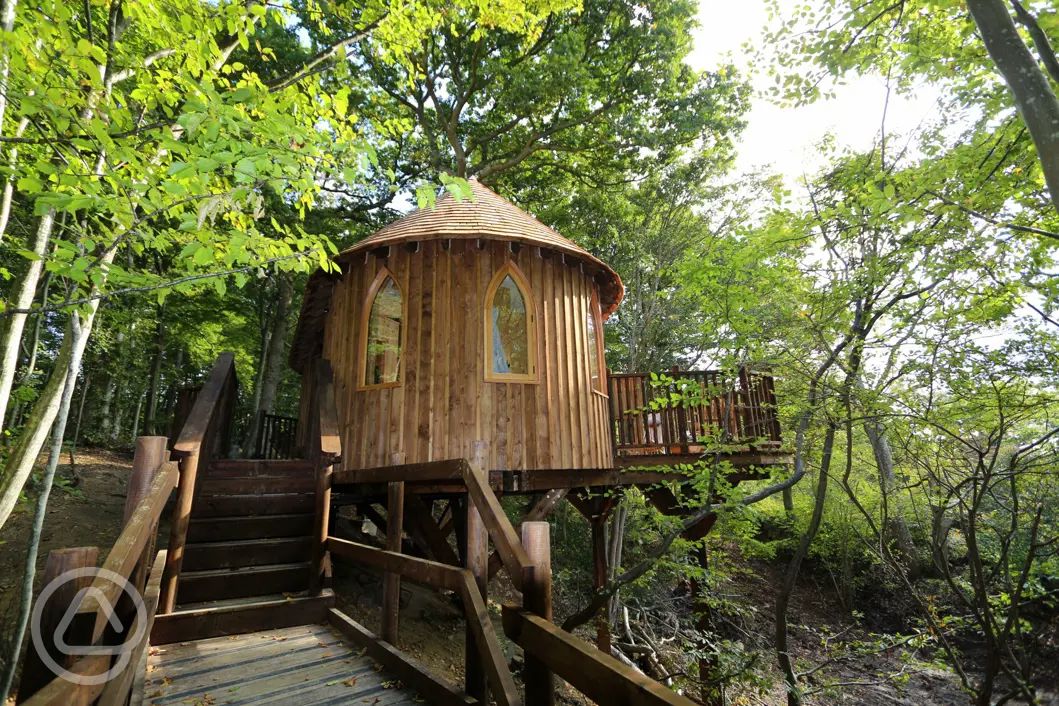 Treehouse holidays in Sussex - unique glamping in a treehouse