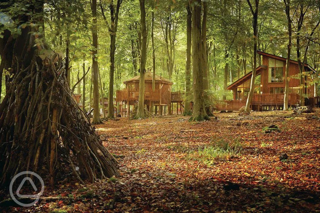40+ treehouse holidays in the UK