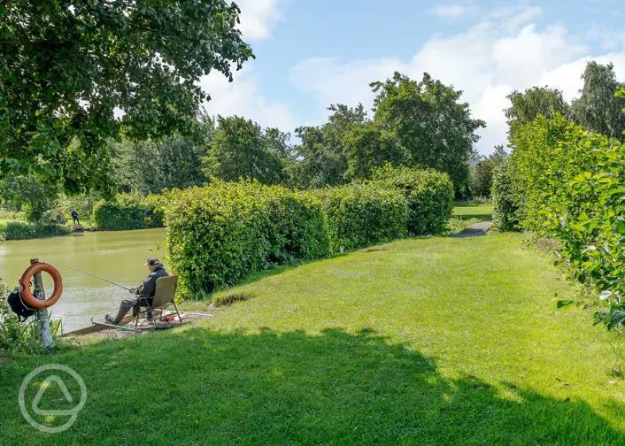 Campsites near Cheddar Gorge in Somerset