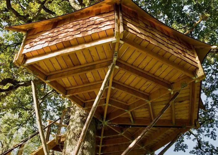 35+ quirky and unique treehouse holidays in the UK