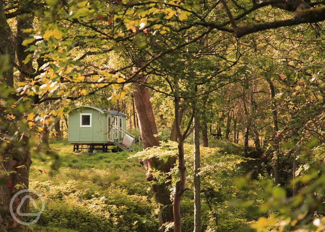 Shepherd's huts in Yorkshire - book these romantic holidays