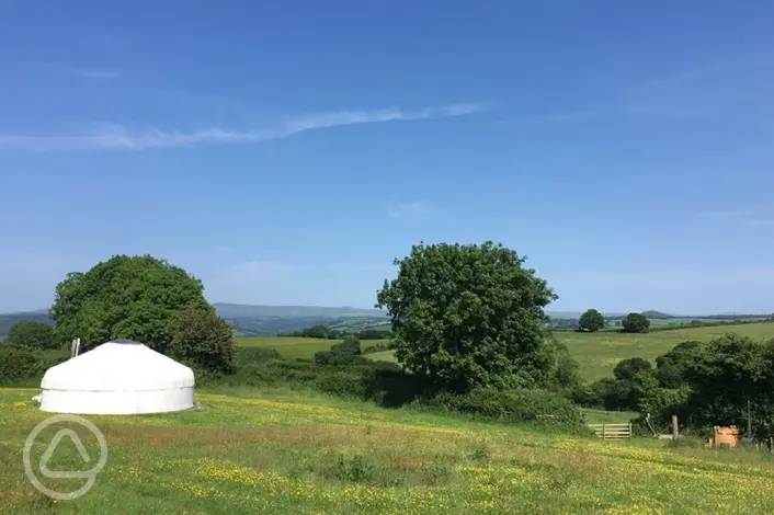 160+ dog friendly campsites in Devon